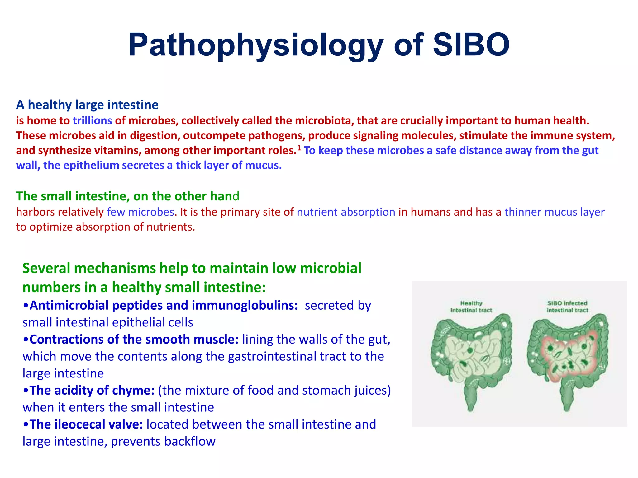 Small intestinal bacterial overgrowth (SIBO) | PPTX