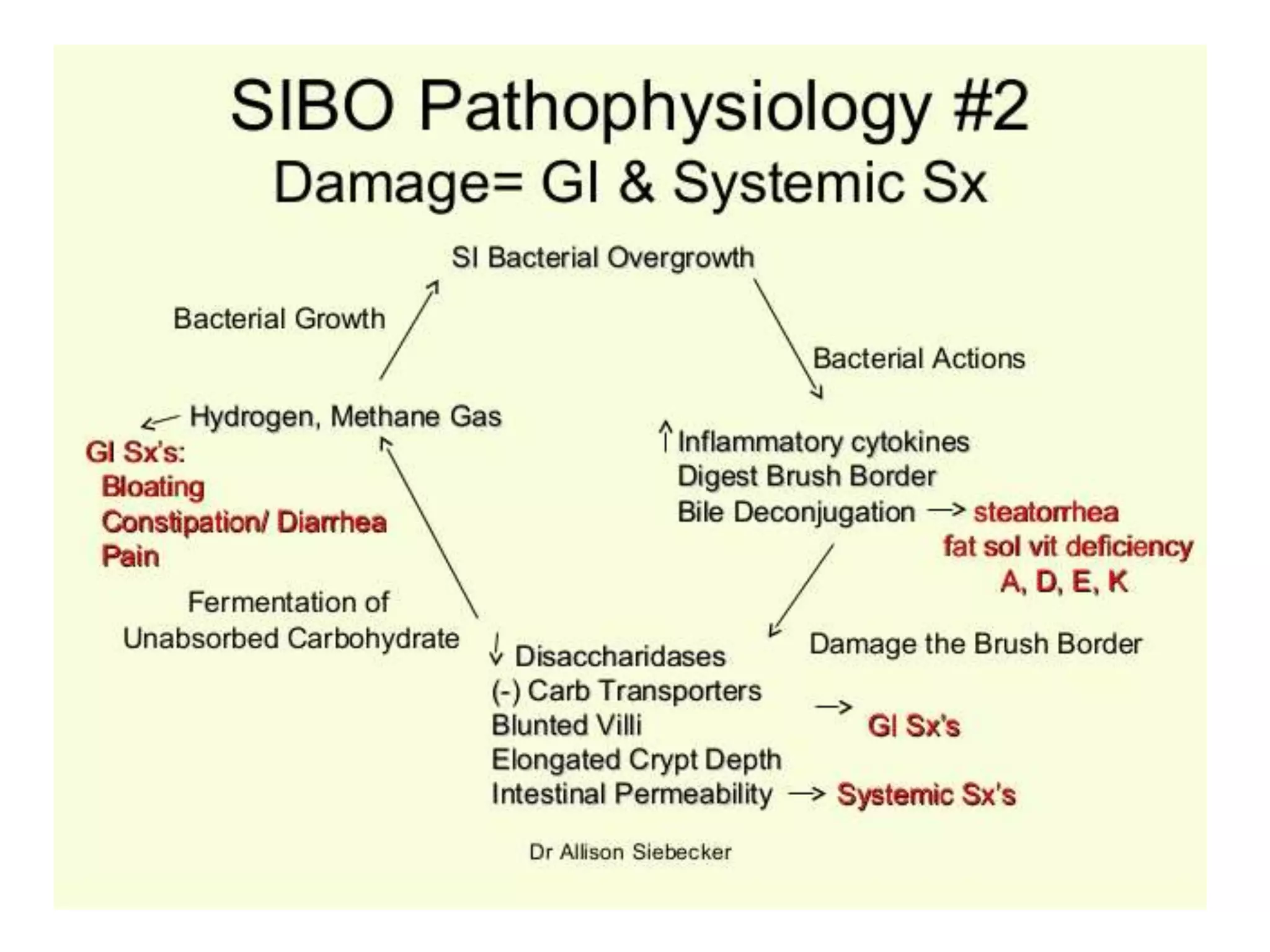 Small intestinal bacterial overgrowth (SIBO) | PPTX