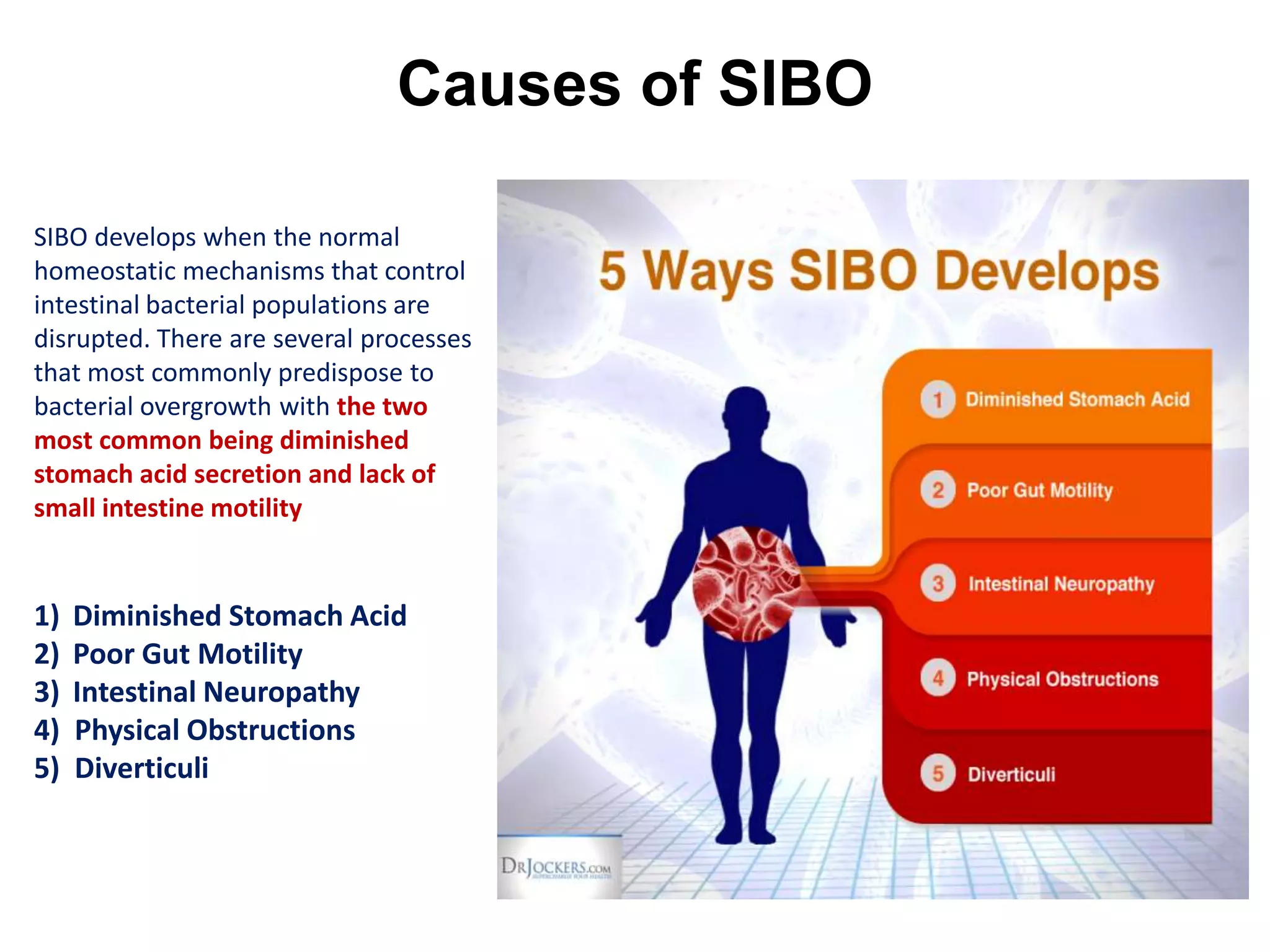 Small intestinal bacterial overgrowth (SIBO) | PPTX