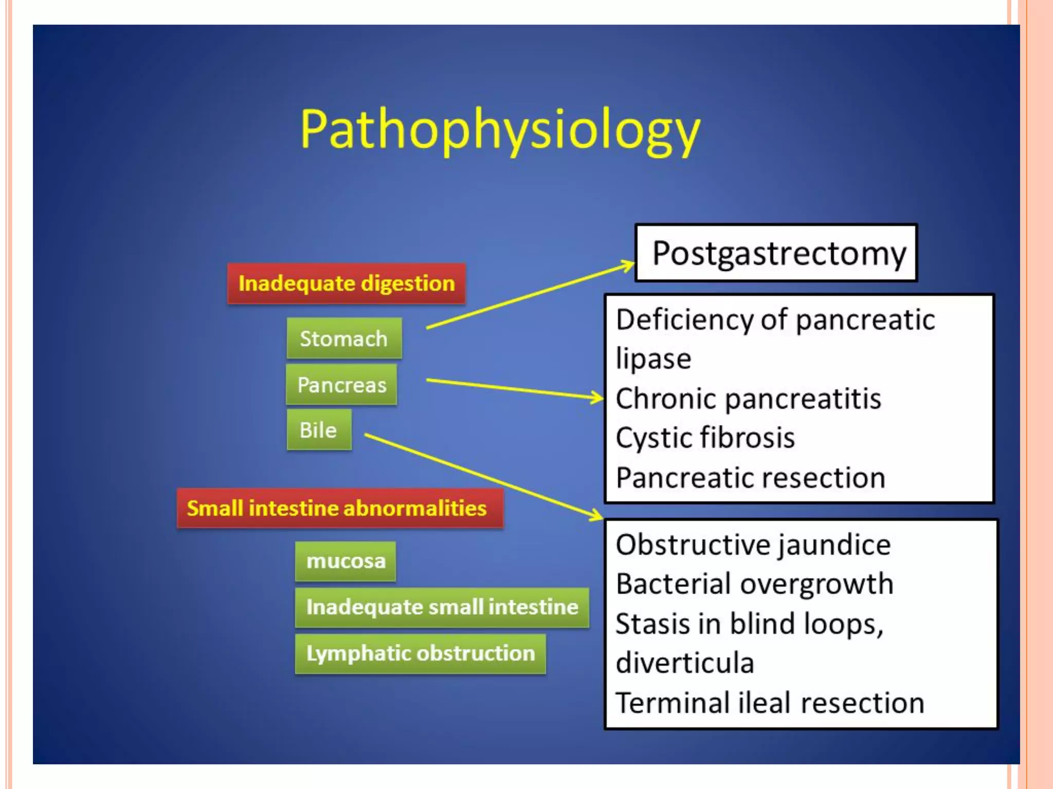 Small intestinal inflammation and infection | PPT