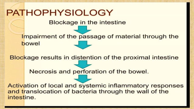 SMALL INTESTINAL OBSTRUCTION.pptx | Digestive Disorders | Diseases and ...