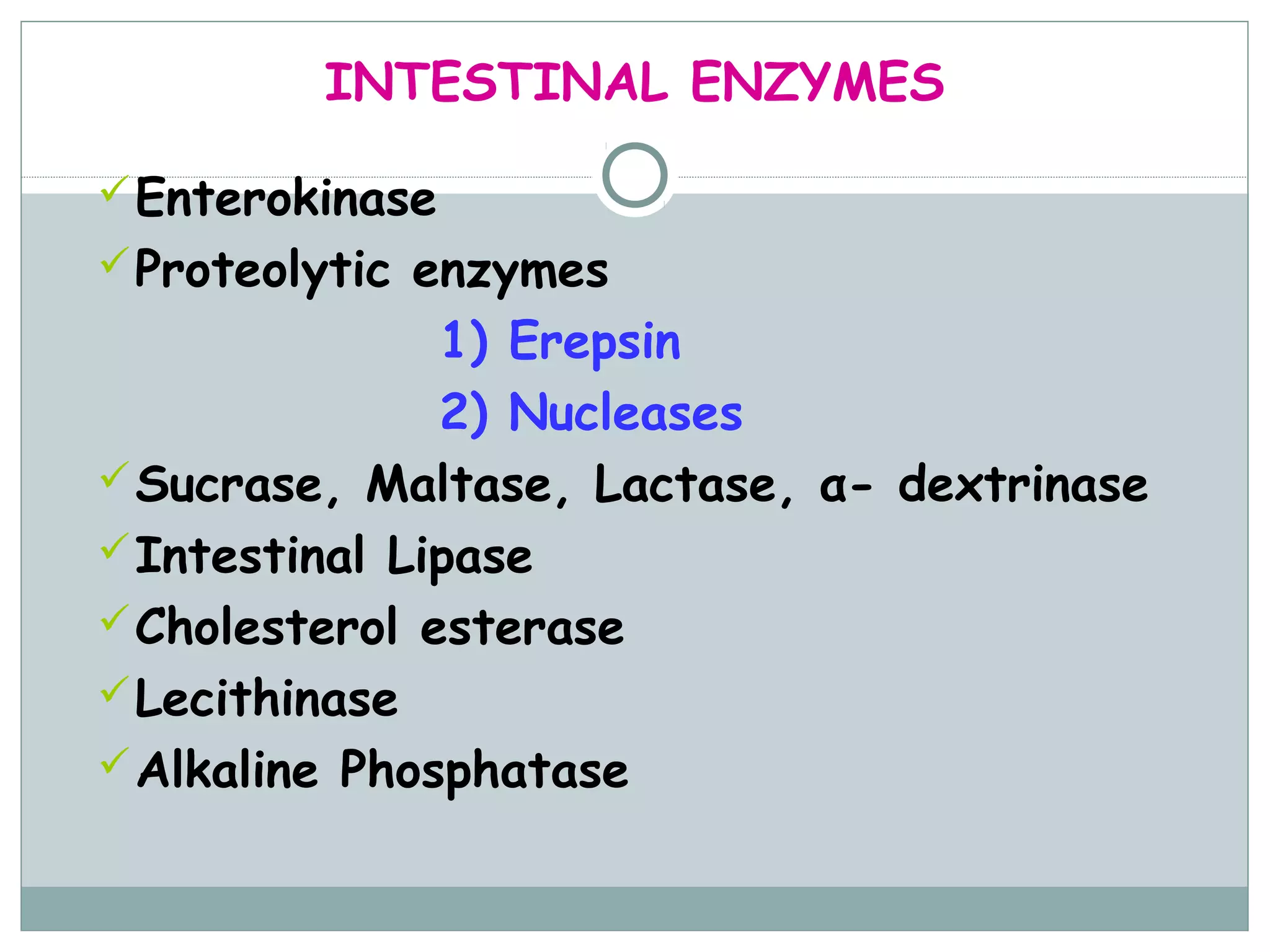 Small intestine physiology | PPT