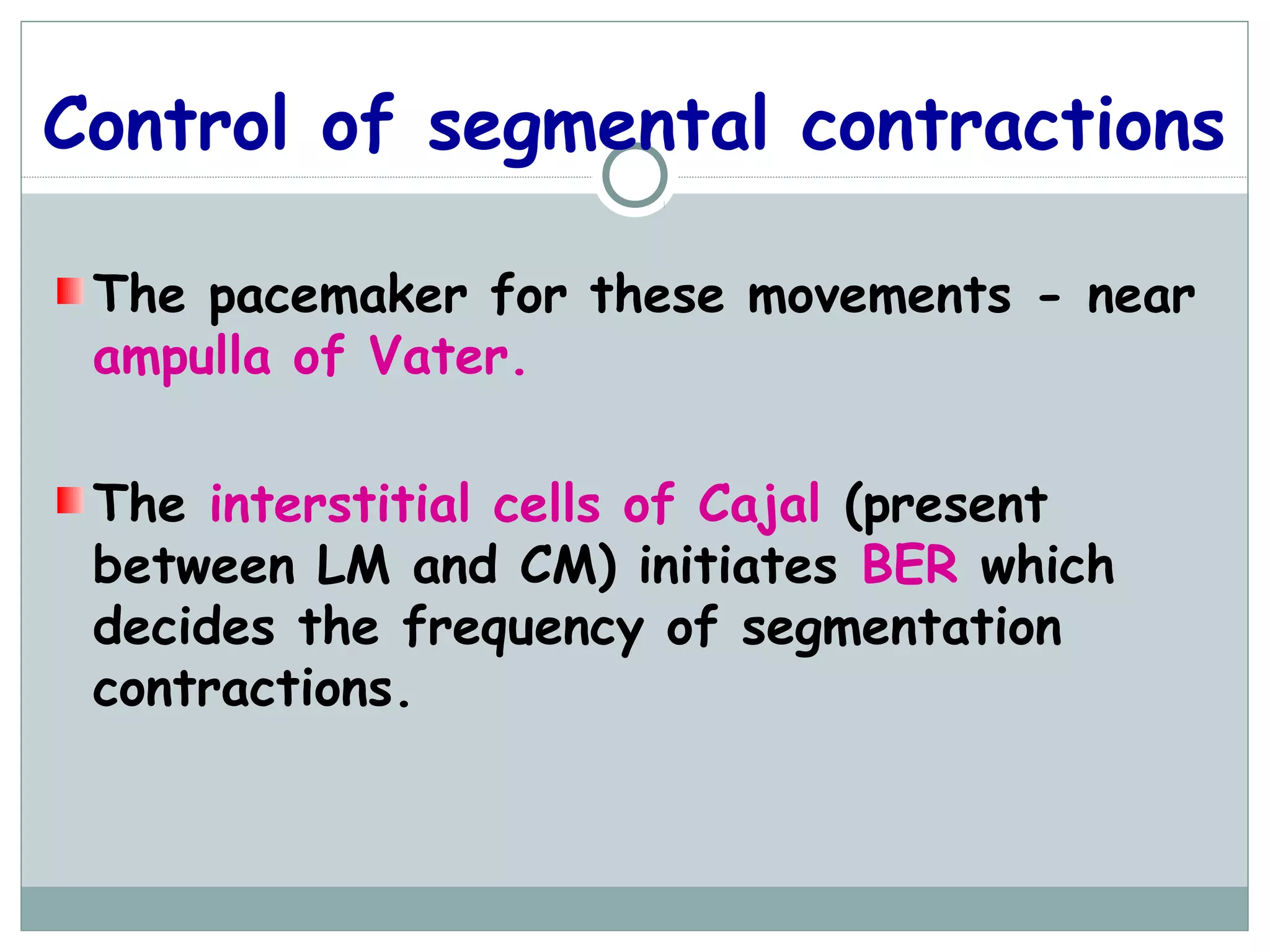 Small intestine physiology | PPT