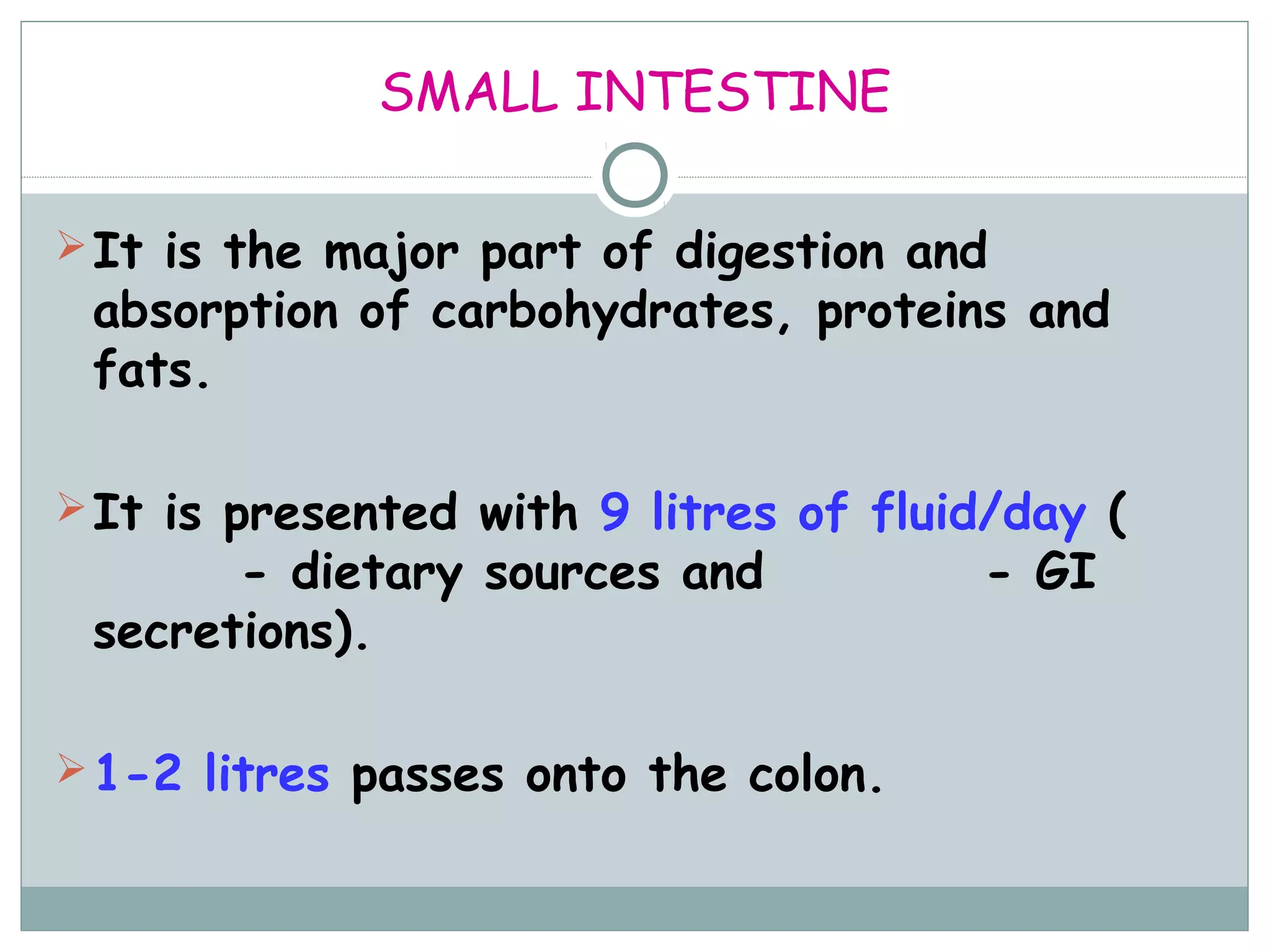 Small intestine physiology | PPT