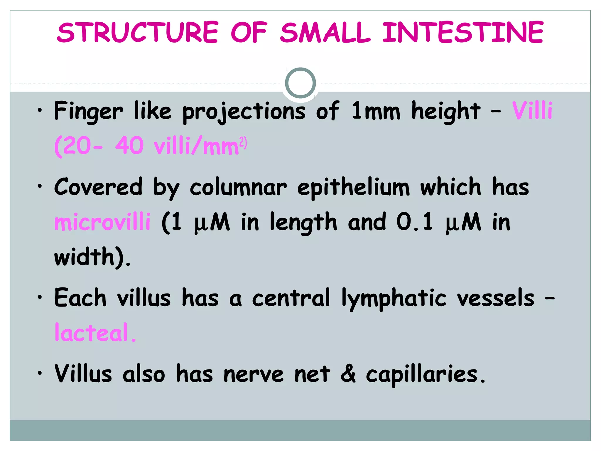 Small intestine physiology | PPT