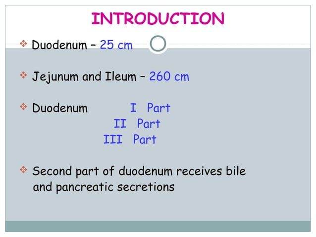 Small intestine physiology | PPT