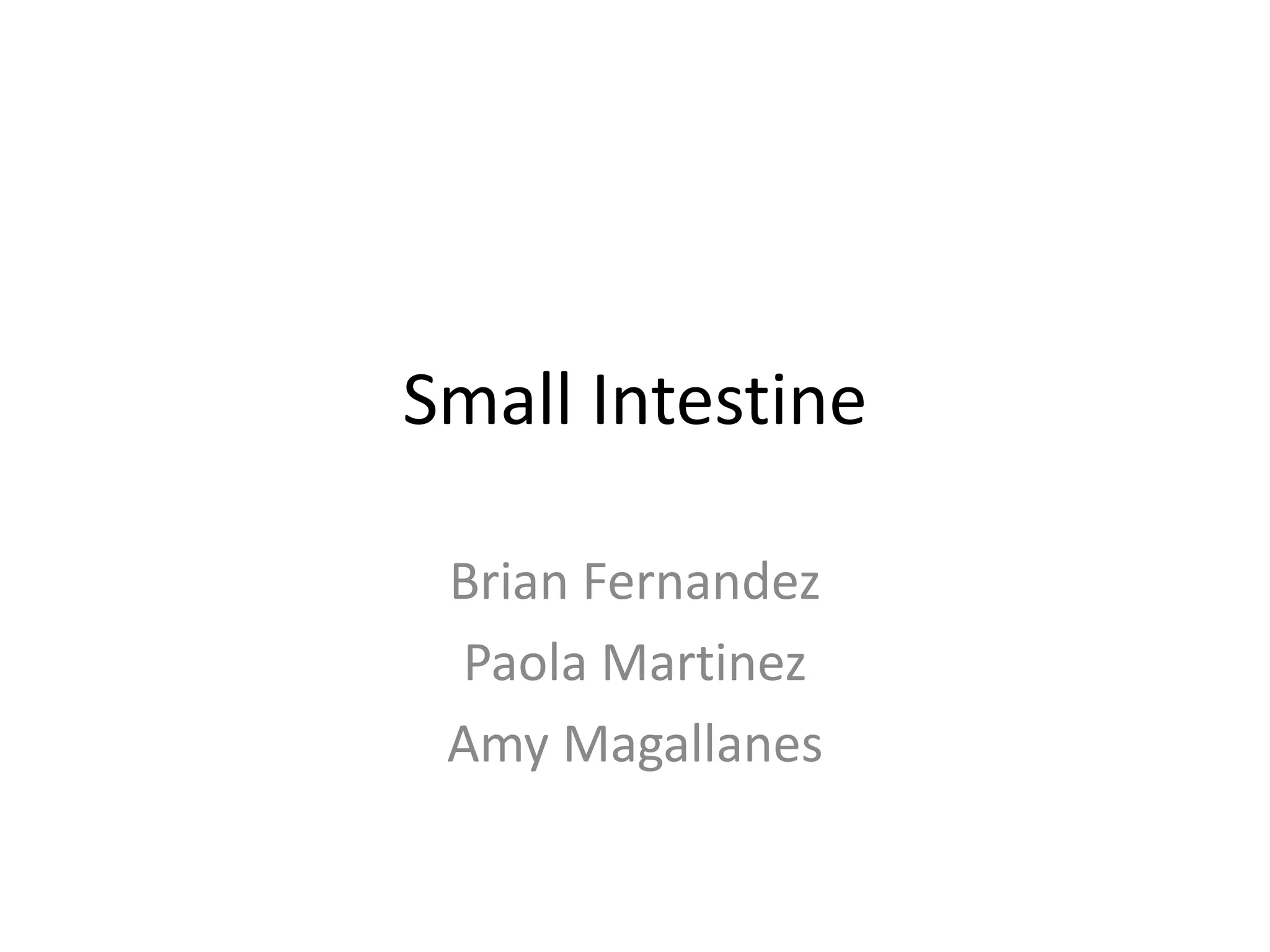 Small intestine | PPT