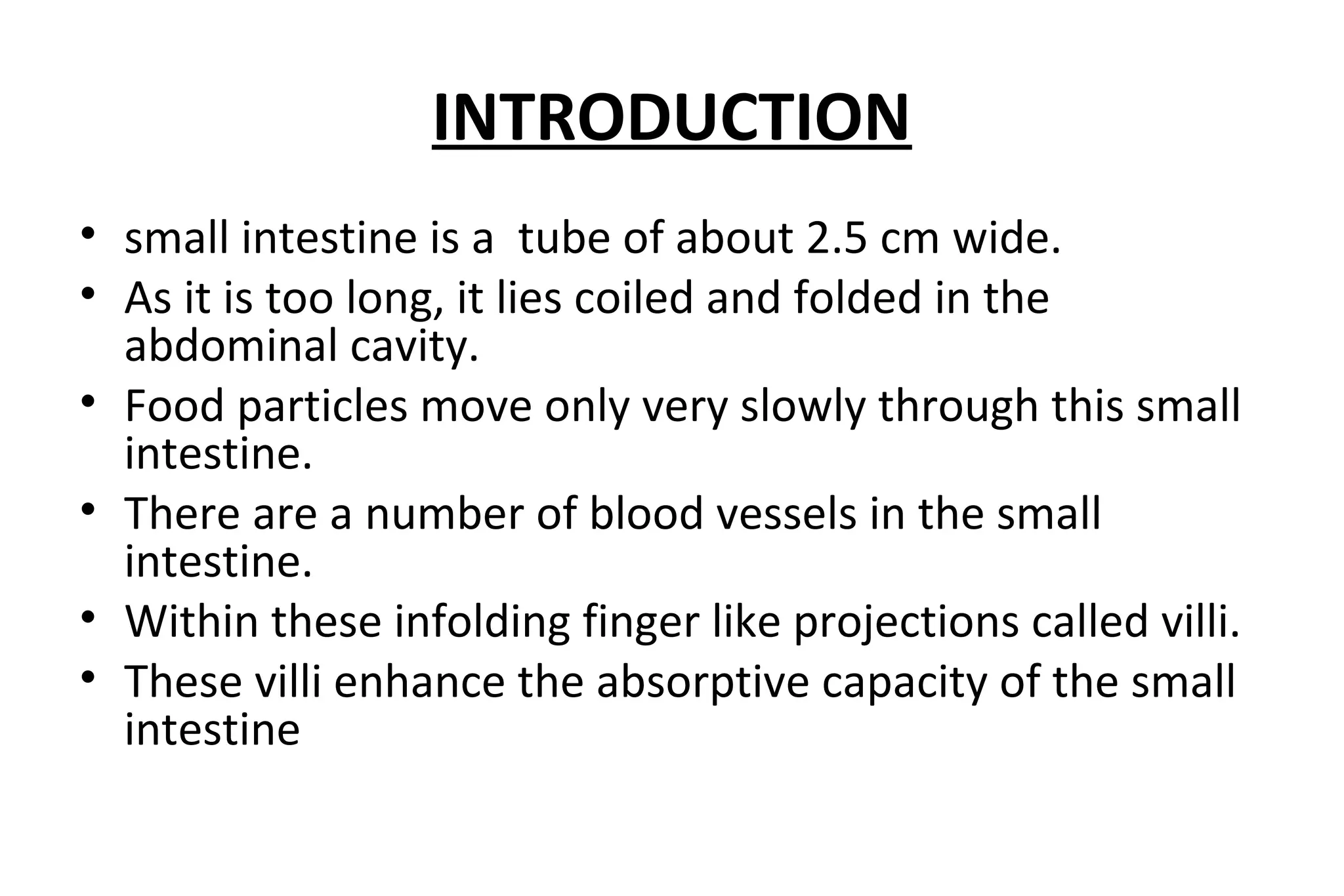Small intestine | PPT