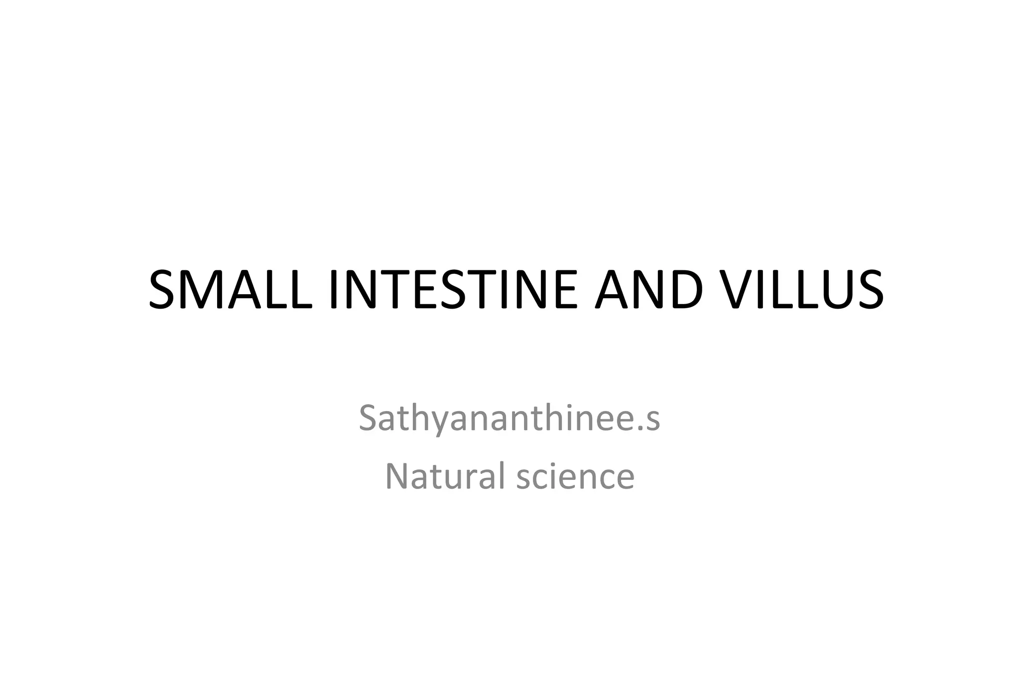 Small intestine | PPT