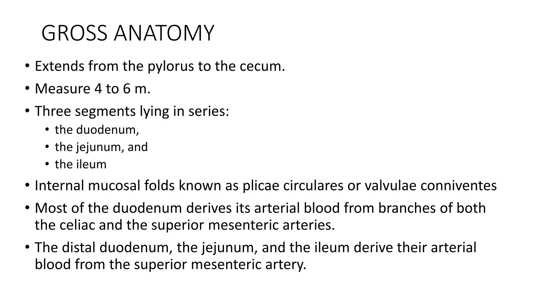 Small intestine/Intestinal obstruction/crohns disease/ileostomy/viscous ...