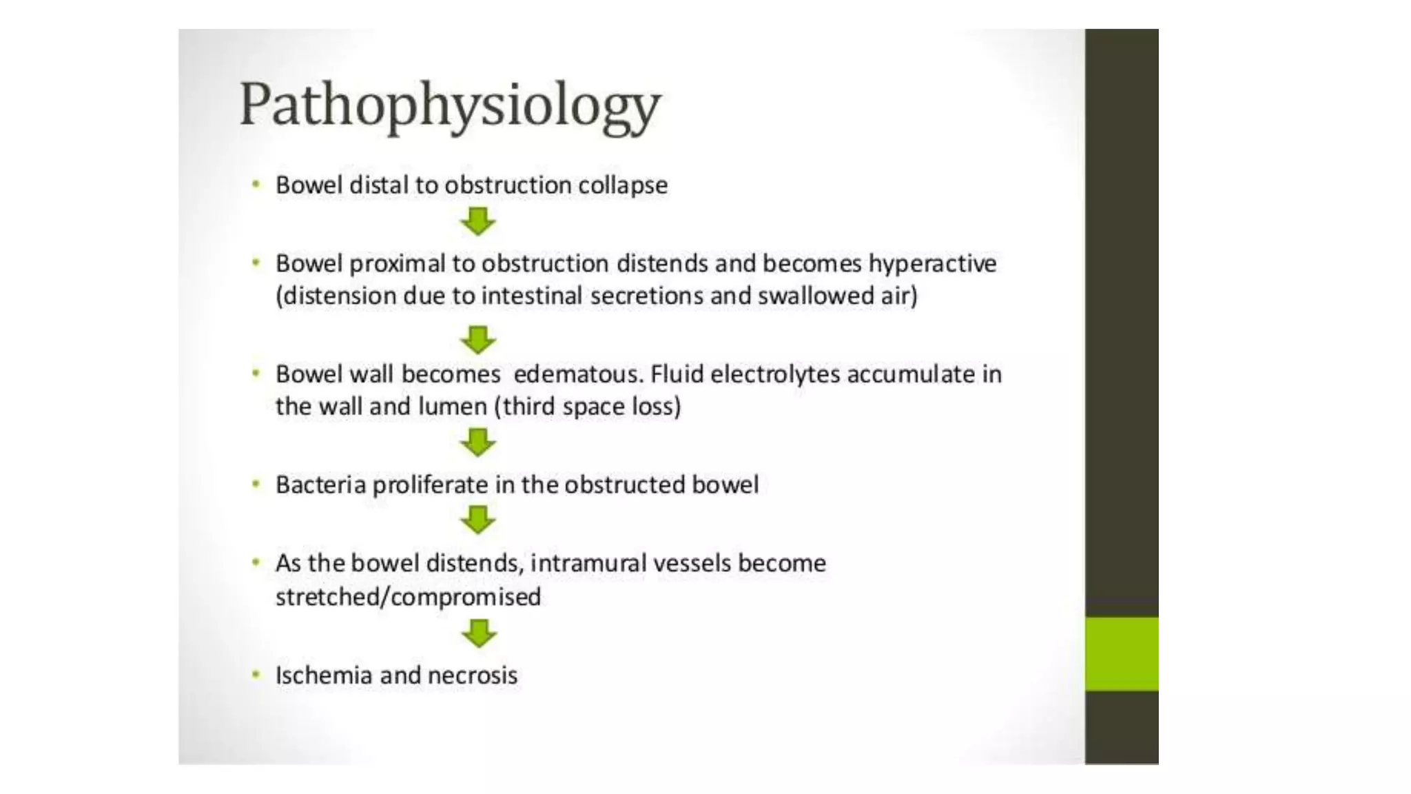 Small intestine/Intestinal obstruction/crohns disease/ileostomy/viscous ...