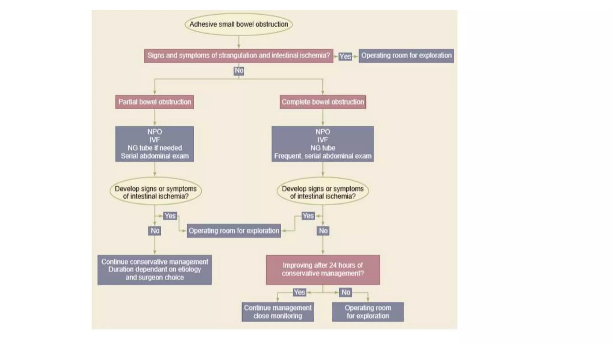 Small intestine/Intestinal obstruction/crohns disease/ileostomy/viscous ...