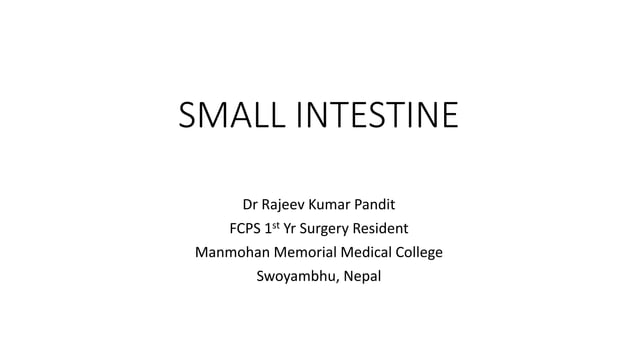 Small intestine/Intestinal obstruction/crohns disease/ileostomy/viscous ...
