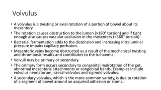 Small intestine/Intestinal obstruction/crohns disease/ileostomy/viscous ...