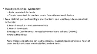 Small intestine/Intestinal obstruction/crohns disease/ileostomy/viscous ...