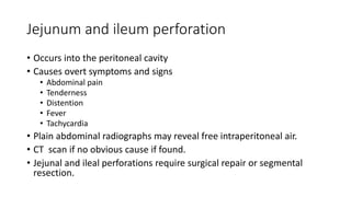 Small intestine/Intestinal obstruction/crohns disease/ileostomy/viscous ...