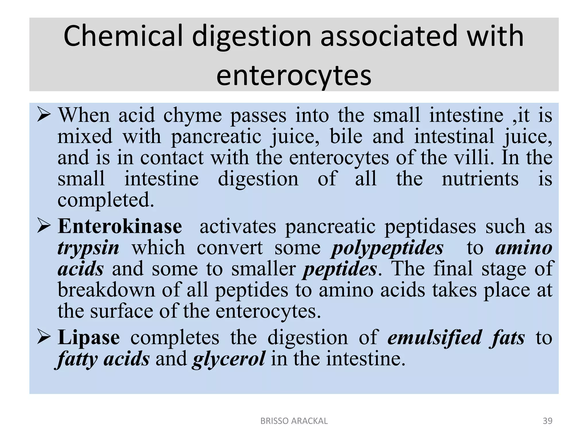 Small intestine .pdf