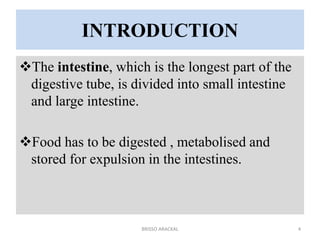 Small intestine .pdf