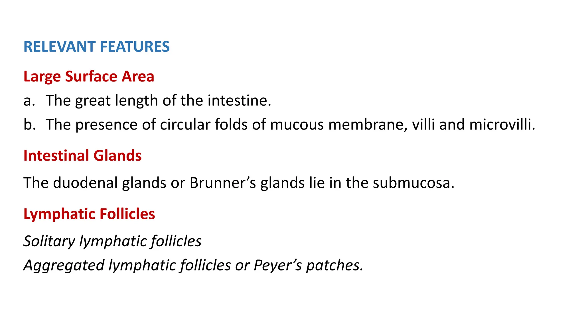 Small Intestine.pptx