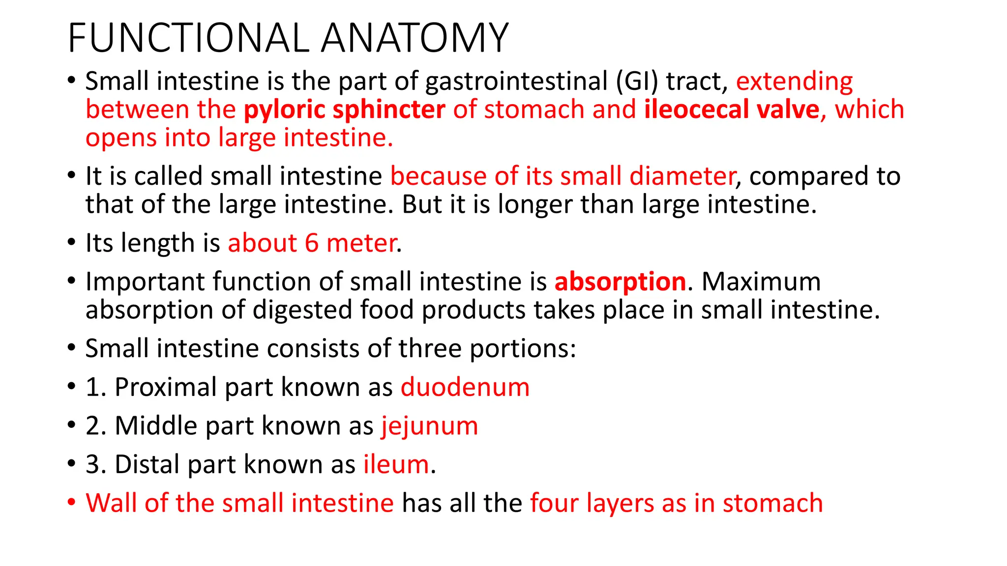 Small Intestine.pptx