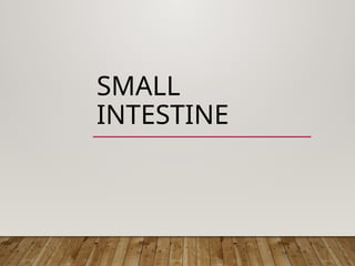 HISTOLOGY OF SMALL INTESTINE .pptx