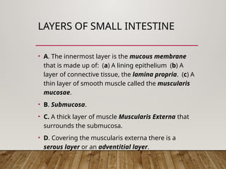 HISTOLOGY OF SMALL INTESTINE .pptx