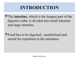 Small intestine.pptxxxxxxxxxxxxxxxxxxxxx | PPTX