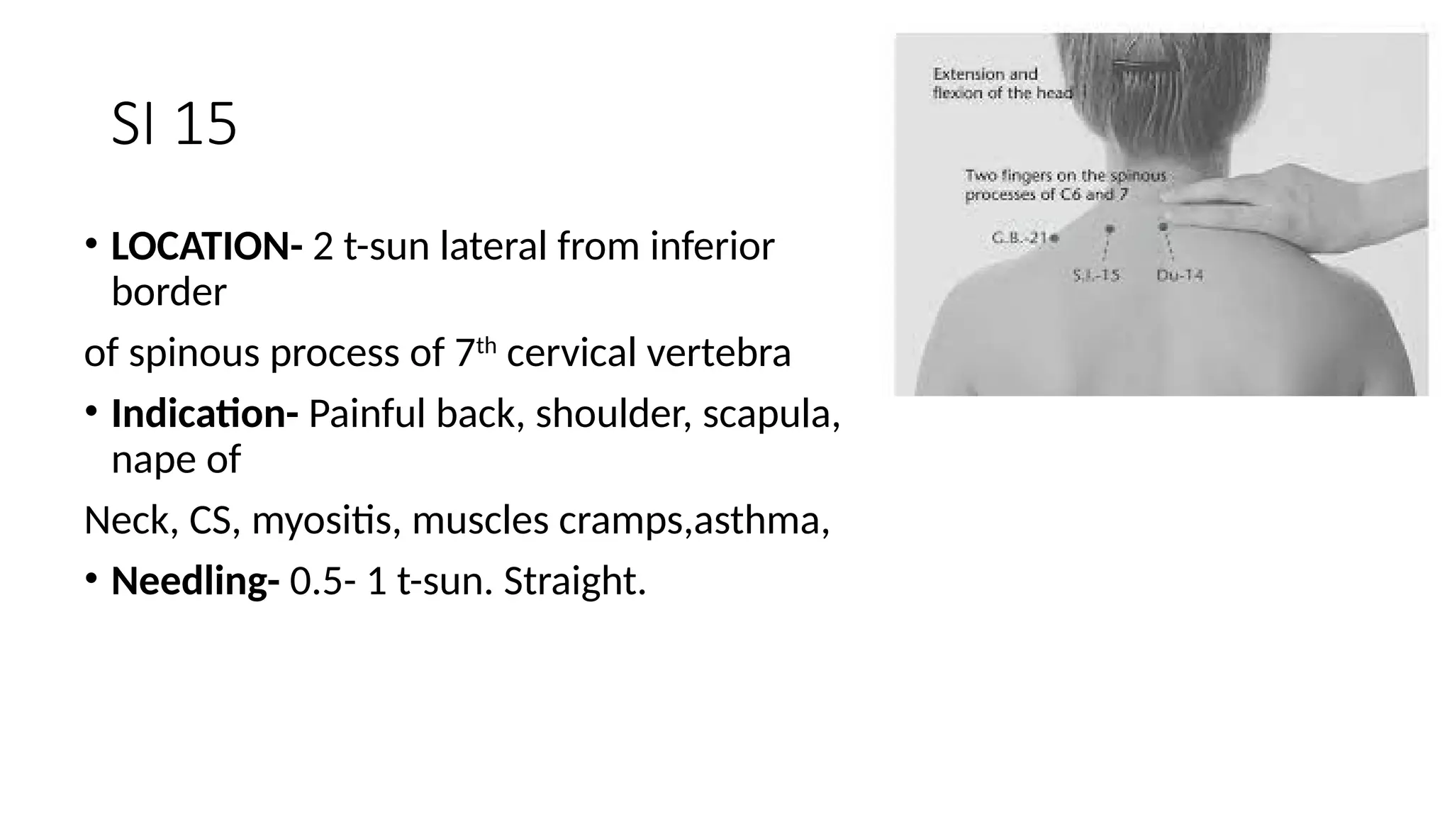Small Intestine, introduction, indications, pathway.pptx
