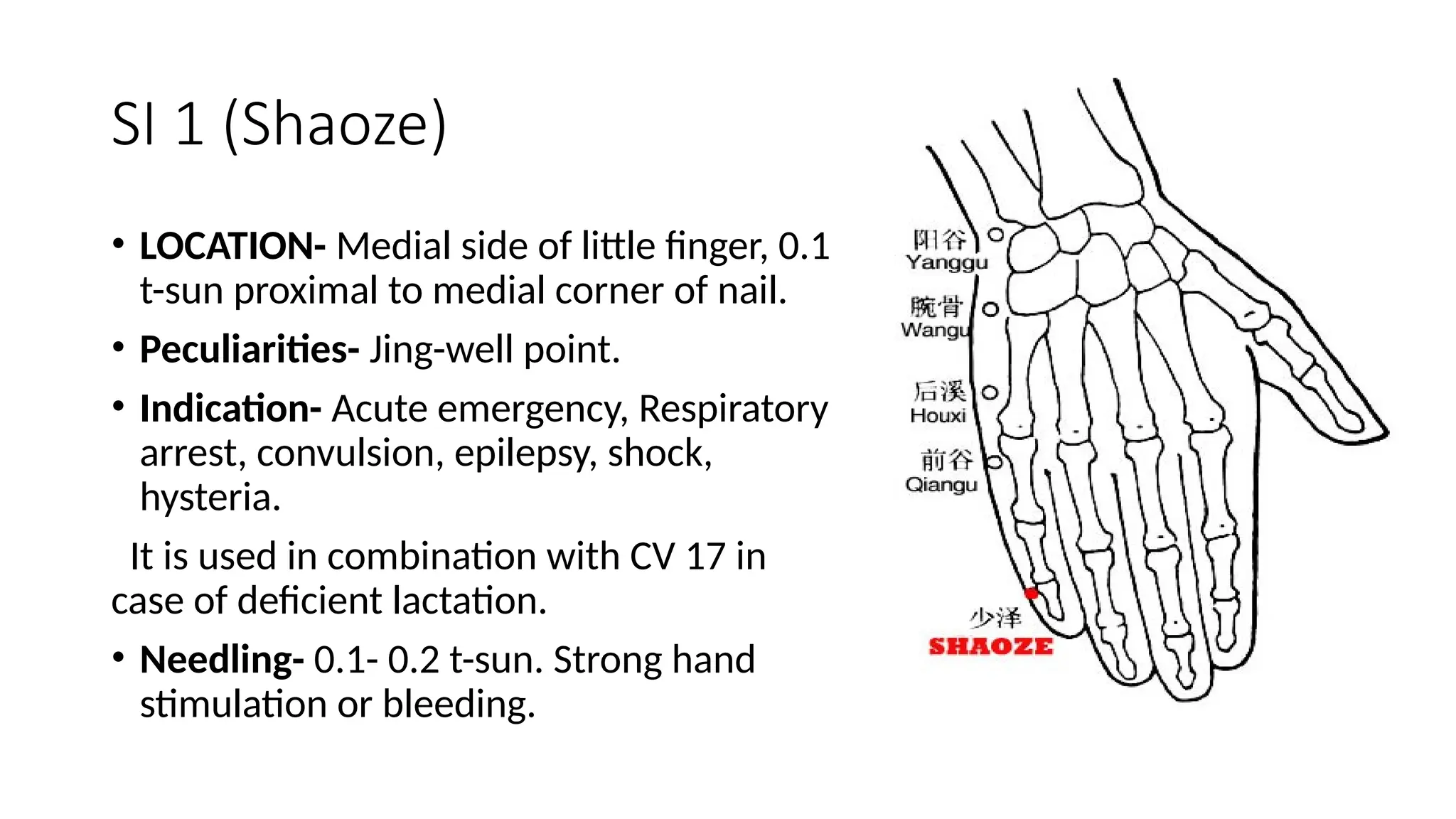 Small Intestine, introduction, indications, pathway.pptx