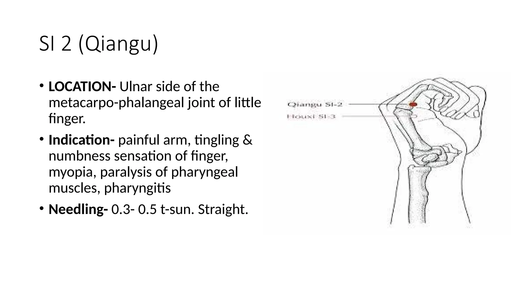 Small Intestine, introduction, indications, pathway.pptx