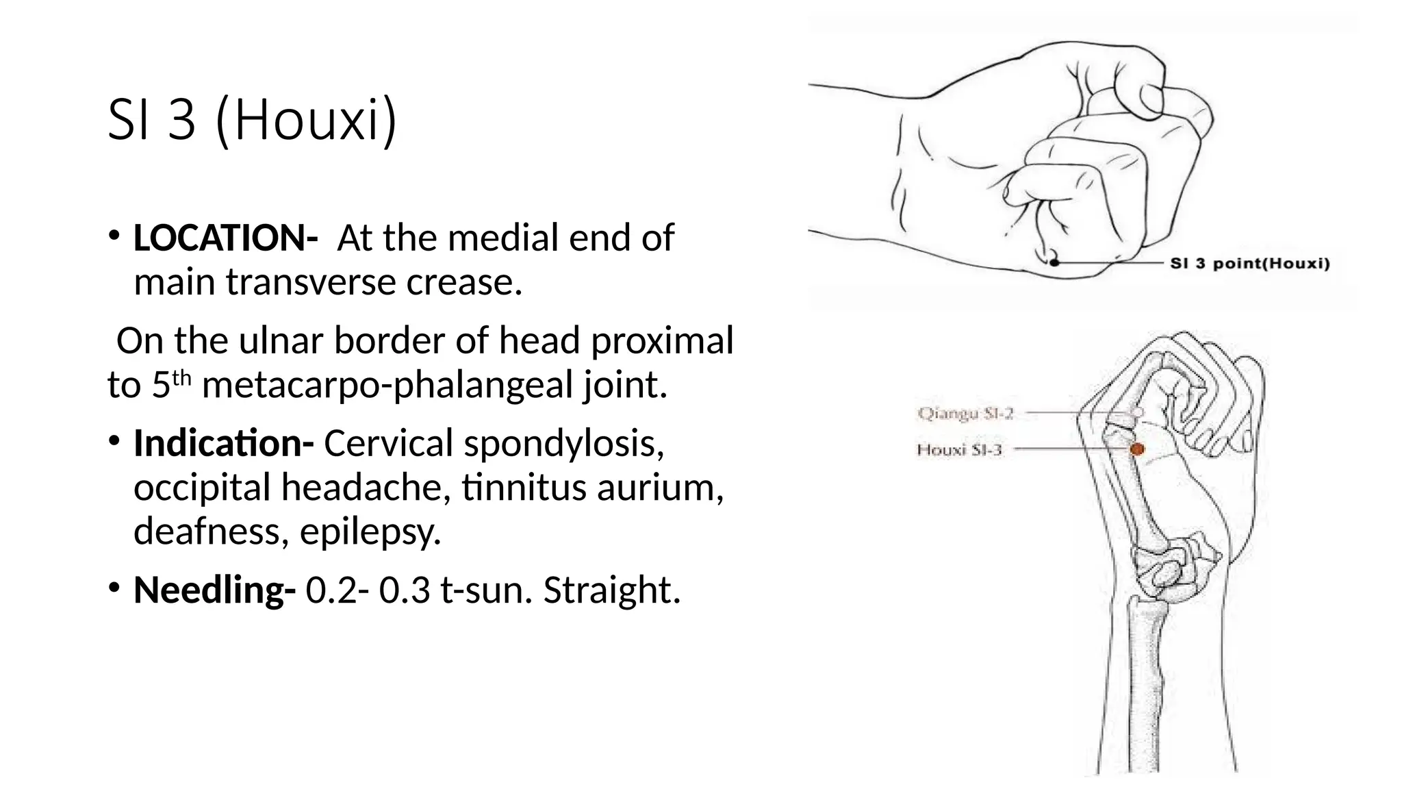 Small Intestine, introduction, indications, pathway.pptx