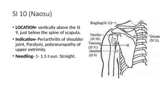 Small Intestine, introduction, indications, pathway.pptx