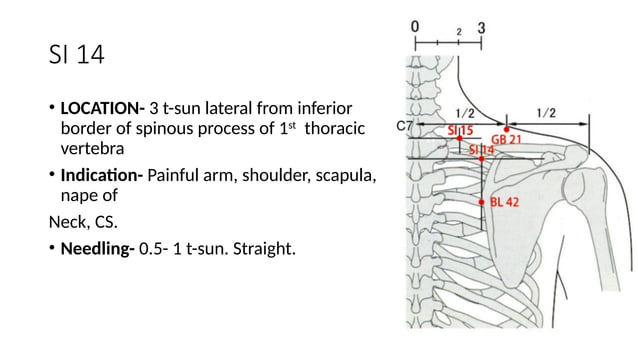 Small Intestine, introduction, indications, pathway.pptx