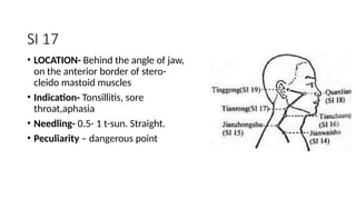 Small Intestine, introduction, indications, pathway.pptx