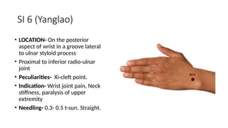 Small Intestine, introduction, indications, pathway.pptx
