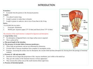 SMALL INTESTINE.Small intestine notes hahgab | PPT