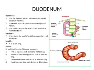 SMALL INTESTINE.Small intestine notes hahgab | PPTX