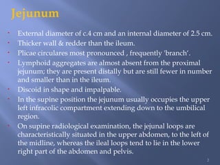 anatomy of jejunum and ileum - DrPS.pptx