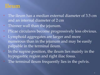anatomy of jejunum and ileum - DrPS.pptx