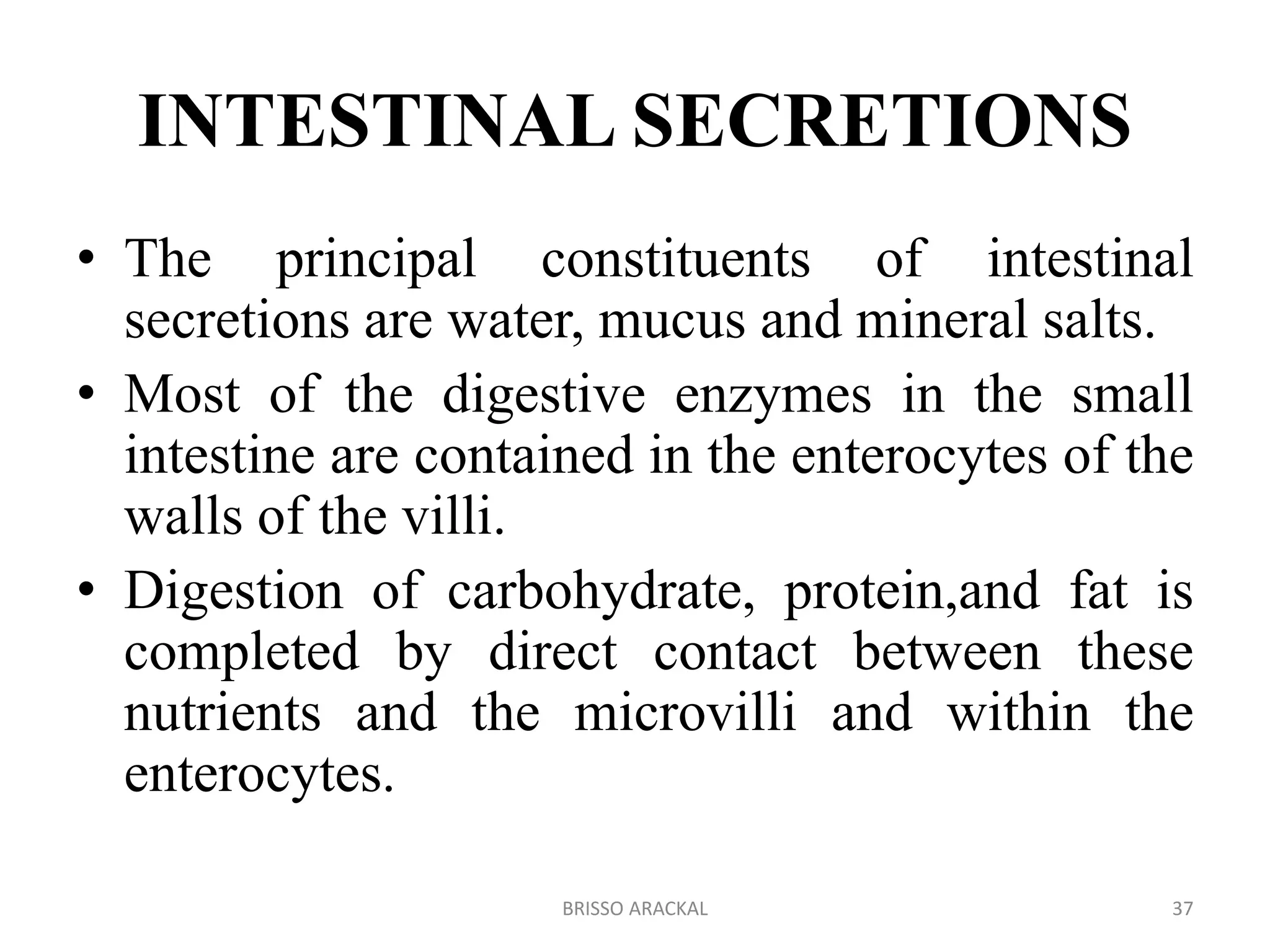 Small intestine | PPTX