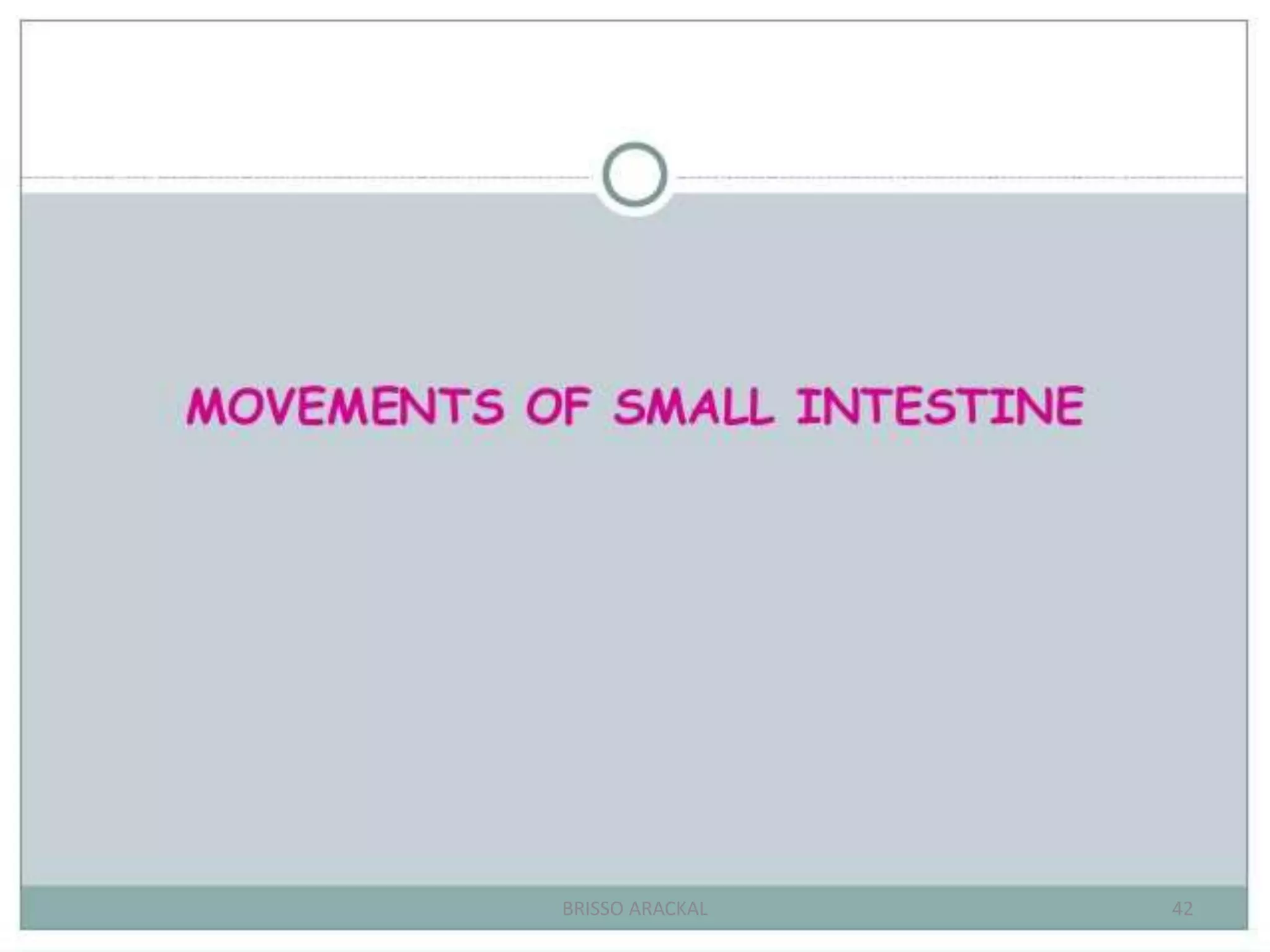 Small intestine | PPTX