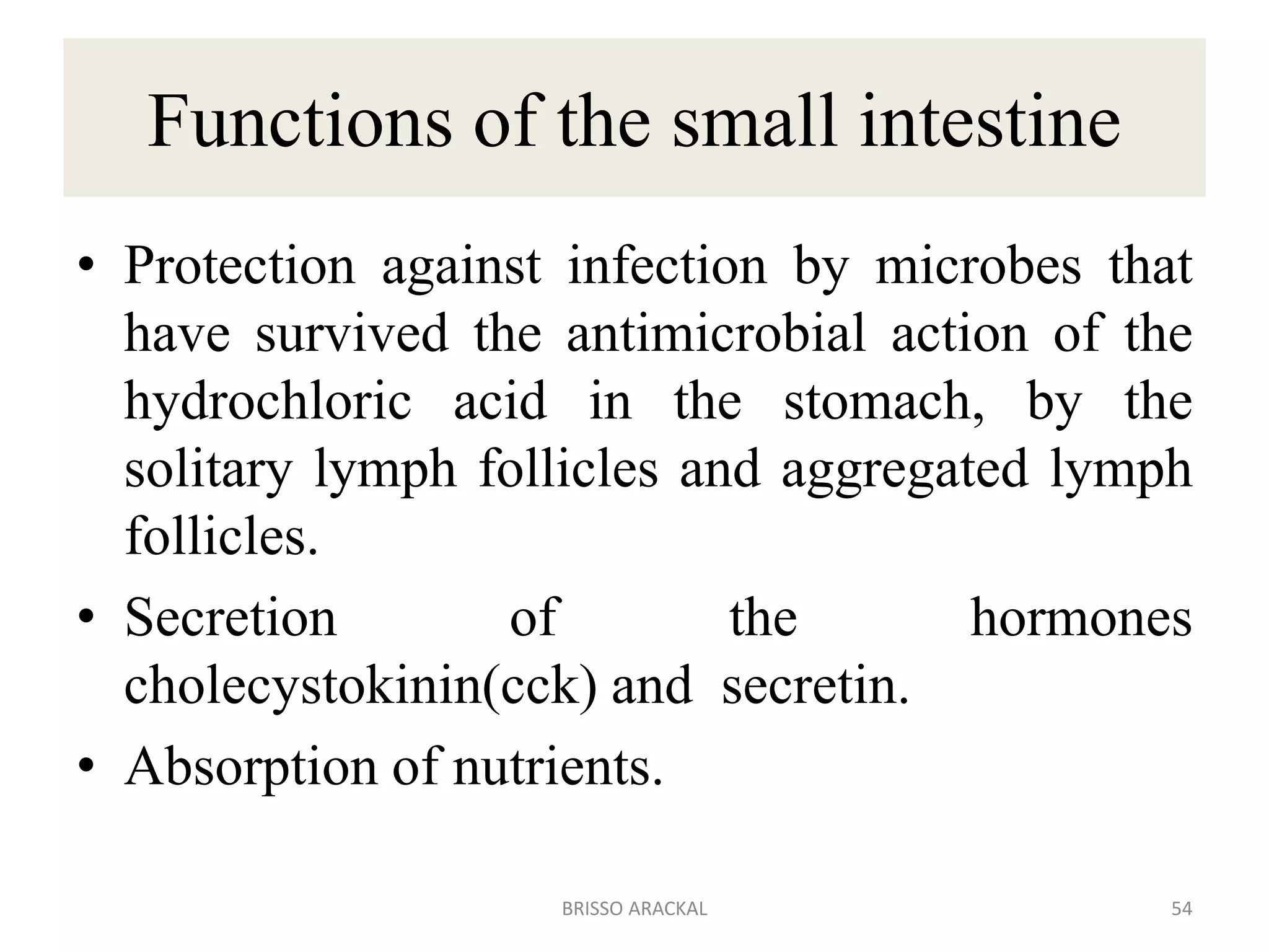 Small intestine | PPTX