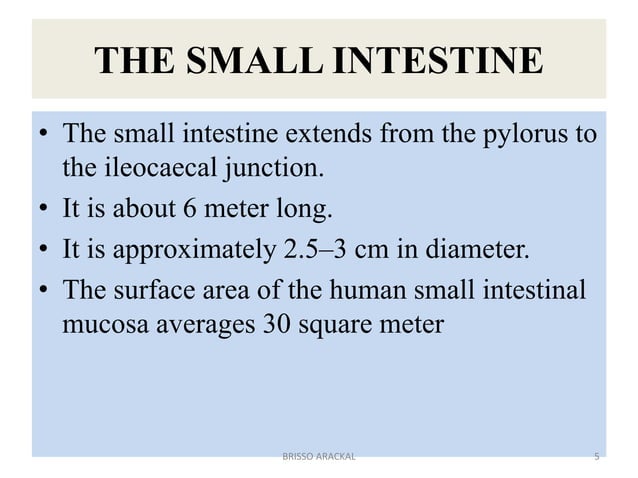 Small intestine | PPTX | Digestive Disorders | Diseases and Conditions