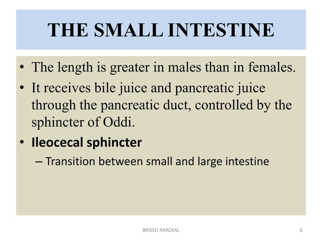 Small intestine | PPTX | Digestive Disorders | Diseases and Conditions