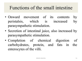 Parts Of Small Intestine And Functions
