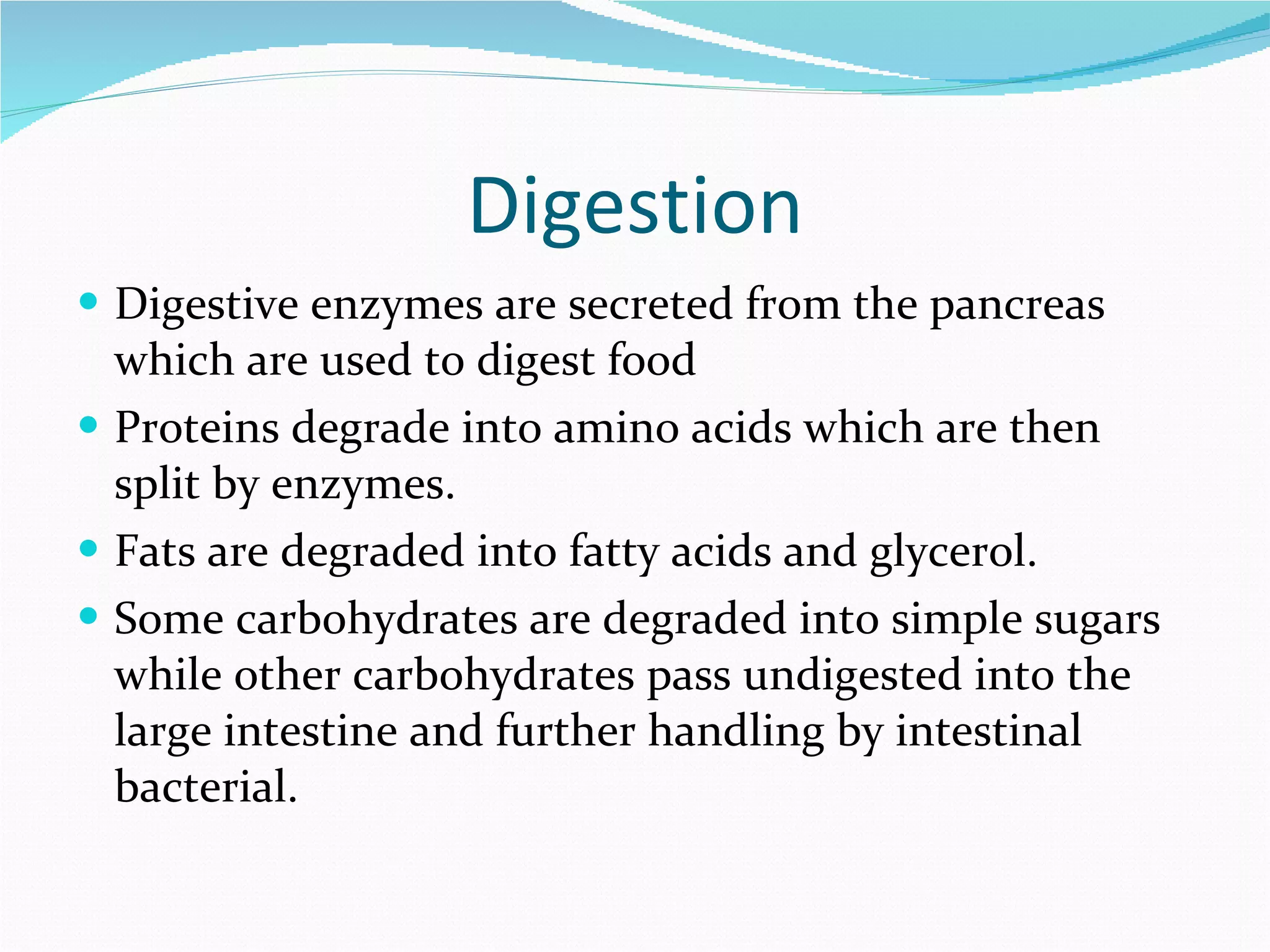 Small intestine (2) | PPT | Digestive Disorders | Diseases and Conditions