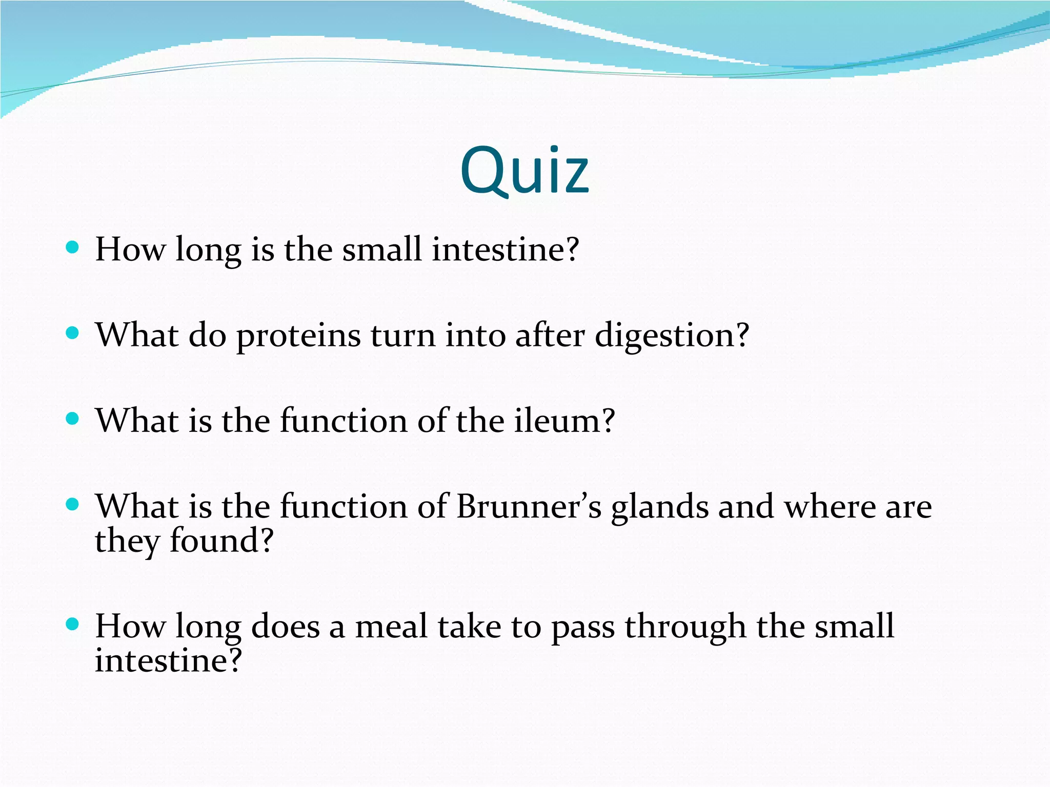 Small intestine (2) | PPT