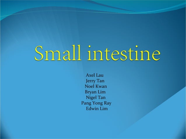 Small intestine (2) | PPT | Digestive Disorders | Diseases and Conditions