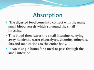 Small intestine (2) | PPT