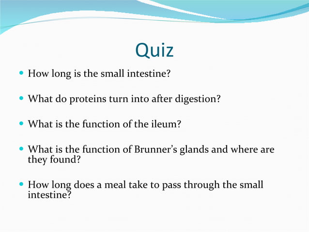 Small intestine (2) | PPT | Digestive Disorders | Diseases and Conditions